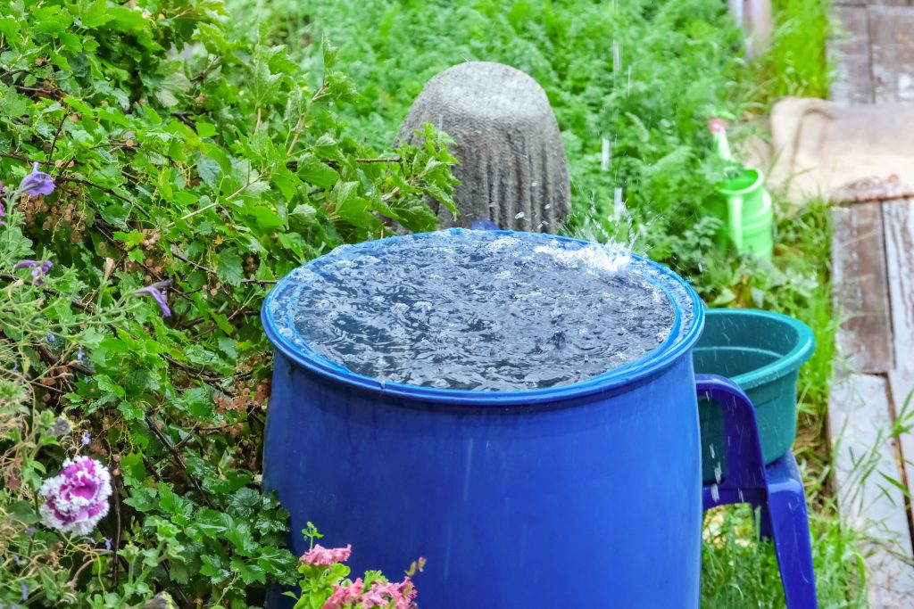 Harnessing Rainwater: The Roof's Role in Collection Systems - A & J ...